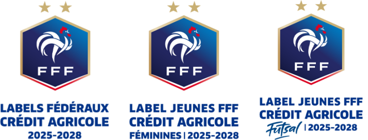 Labels Fédéraux : la procédure 2025-2026 – Ligue de Football des Pays ...
